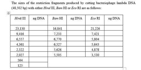 Answered The Sizes Of The Restriction Fragments Bartleby