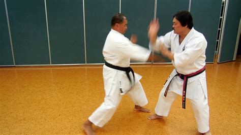 Kenpo Karate Techniques Akki Youtube