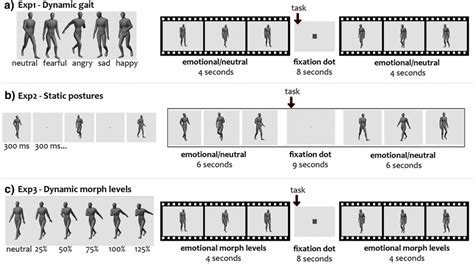 Experimental Design A Experiment 1 Exp1 Left Side 6 Types Of Download Scientific Diagram