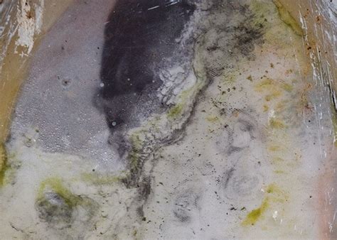 1 54 Contemporary African Art Fair Rakeb Sile Addis Fine Art Art Africa Magazine