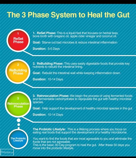 Regain Your Terrain Digestive Health Protocol Digestive Health