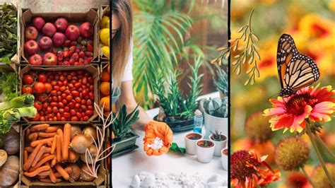 Primavera 2025 ¿cuáles Plantas Frutos Y Flores Puedes Sembrar Con La