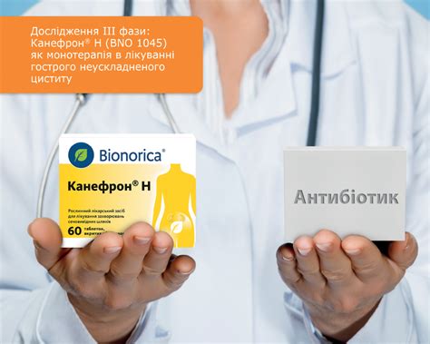 Основні аспекти сучасної фітотерапії, про які має знати фармацевт ...