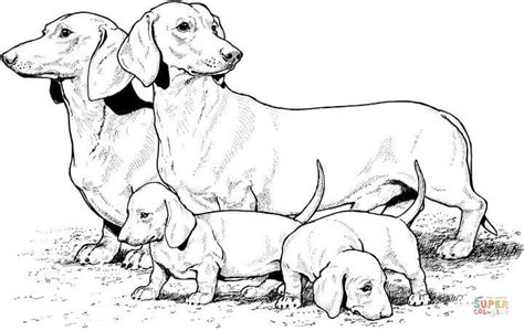 Dachshund Puppies Coloring Pages