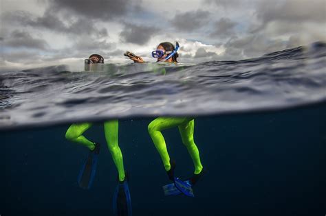 摄影师实拍海龟宝宝大海回归记 组图 图片中国中国网