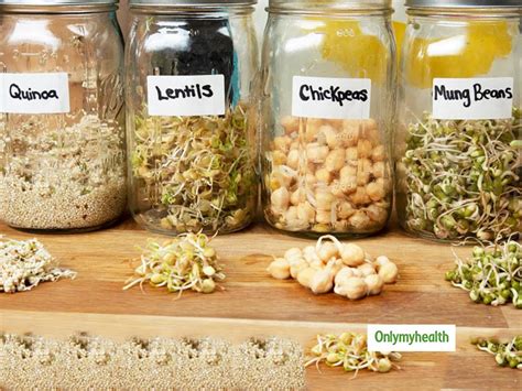 Sprouts Guide Find All Types Of Sprouts You Can Make For Healthy