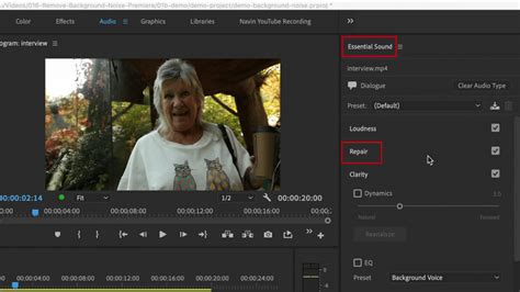 How To Reduce Background Noise In Adobe Premiere Pro Web Guru Adobe Expert