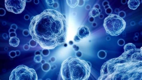Cell Culture Evolution A Revolution For Drug Discovery Technology Networks