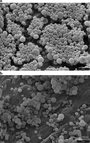 Preparation And Characterization Of Cellulose Microspheres Springerlink