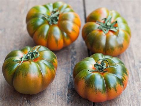 Sicilian Marinda Tomatoes | Domatesler
