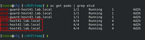 adding a new node to the cluster — my unofficial lab guides main