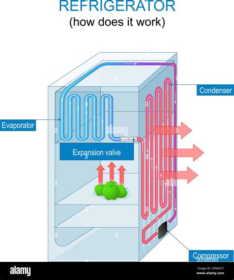 Refrigerator Working Principle How Does A Fridge Work Construction