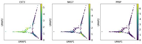 Wrong UMAP Output Issue 2101 Scverse Scanpy GitHub