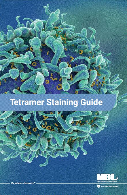 Tetramer Staining Guide 2021