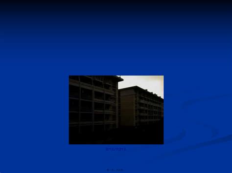引导大学生树立正确恋爱观学习教案