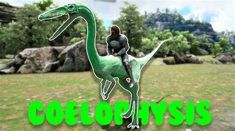 Como Tamear Coelophysis Y Todas Sus Habilidades Ark Additional