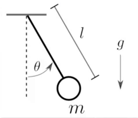 Solved Pendulums Velocity And Kinetic Energy 9to5science