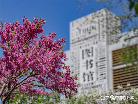 北京外国语大学、北京语言大学、外交学院、北京第二外国语学院近三年在京录取概况及分专业录取分数线 知乎
