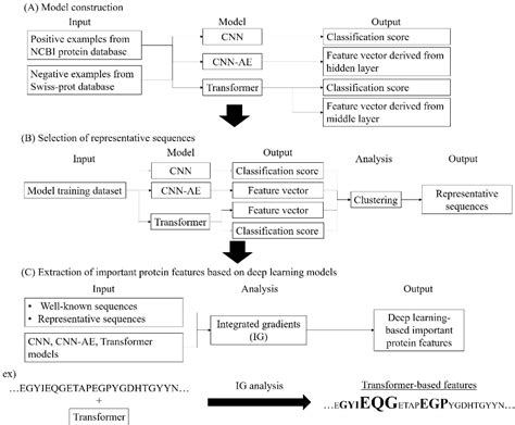 Figure From Different Recognition Of Protein Features Depending On Deep Learning Models A