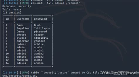 Sqlmap使用教程图文教程（超详细） Csdn博客