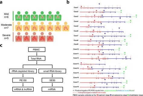 Longitudinal Transcriptome Analyses Show Robust T Cell Immunity During