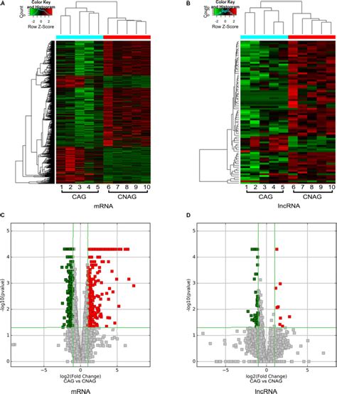 Transcriptome Analysis Of Lncrnamrna Interactions In Chronic Atrophic