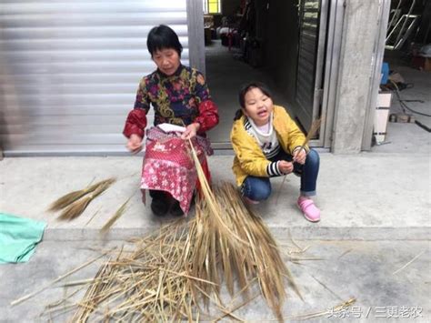 農村老人帶孫女撿枯草，一天能賺10塊 每日頭條