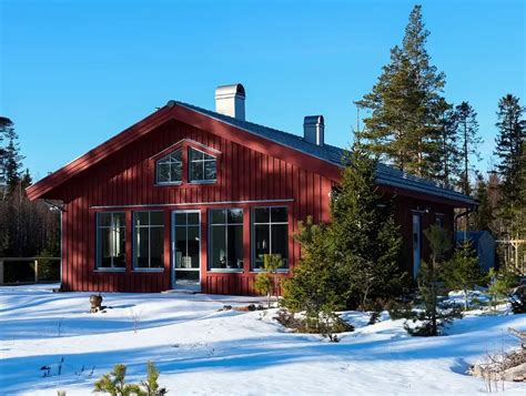 Fakta Om Vithaj En Fascinerande Översikt