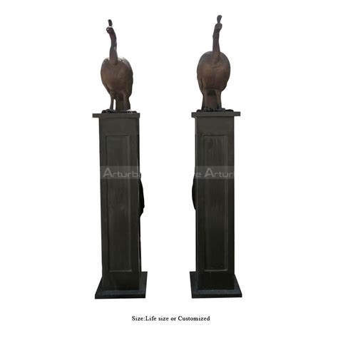 Life Size Peacock Statue