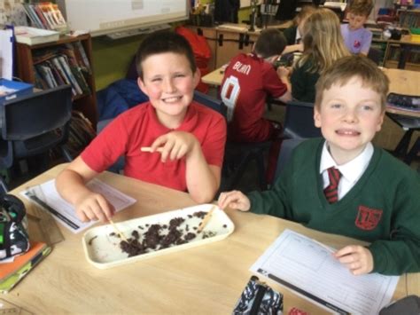 Mrs Blacks Class Excavating Viking Poo