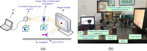 Multi Eye Positioning Experiment With An Artificial Compound Eye A