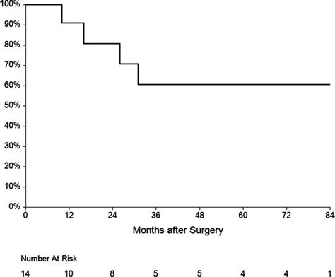 Aorto Mitral Curtain Reconstruction In Invasive Double Valve