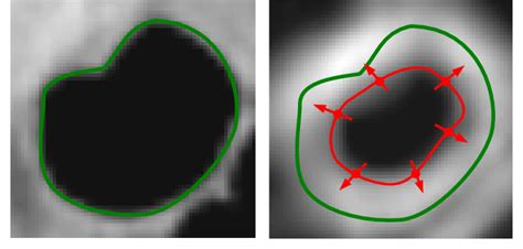 illustration of active contours the image to the left is the input download scientific diagram