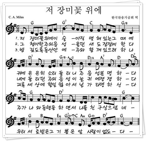저 장미꽃 위에 이슬 네이버 블로그