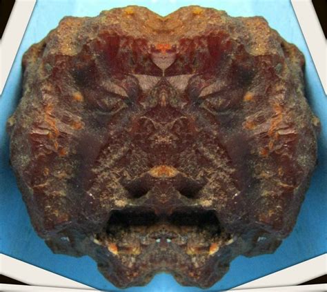 Pin By Shalemhooffs Facts On Prehistoric Three Dimensional Polymorphic