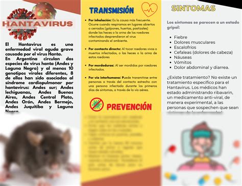 Solution Folleto Sobre El Hantavirus Listo Para Imprimir Studypool