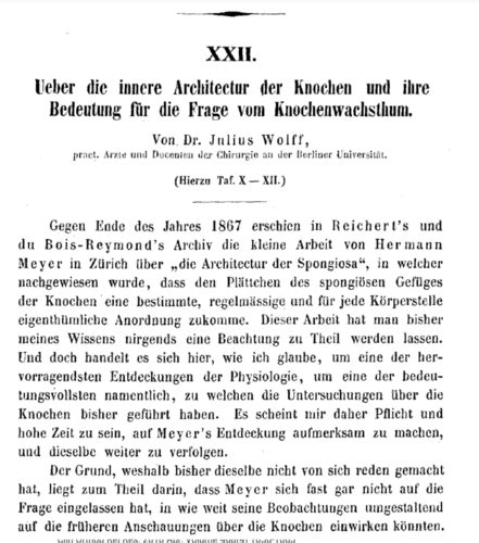 General Principles Of Radiology 2 Primary Care Wk4 Flashcards Quizlet