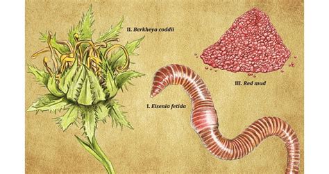 Example Of A Catalyst