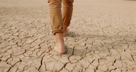 Free Mud Stock Video Footage Royalty Free Video Download Coverr