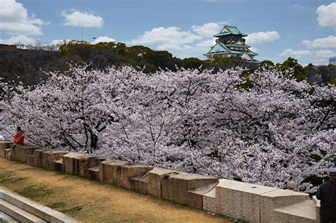 오사카 성 Pixabay의 무료 사진 Pixabay