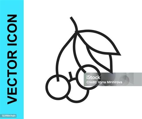 블랙 라인 신선한 여름 열매 아이콘 흰색 배경에 고립 베리 과일 벡터 0명에 대한 스톡 벡터 아트 및 기타 이미지 0명 검은색 과일 Istock