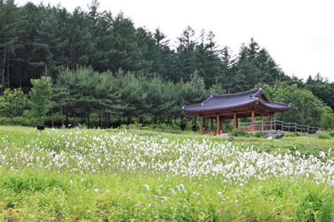포토 피톤치드 10배 피서지 광릉숲수목원 백두대간수목원 세종수목원