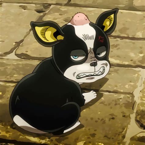 ~iggy Icon~ Jojo Bizarre Jojos Bizarre Adventure Jojo Bizzare Adventure