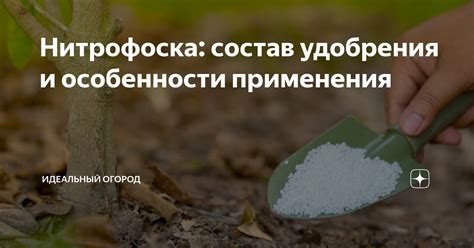 Нитрофоска: состав удобрения и особенности применения | Идеальный ...