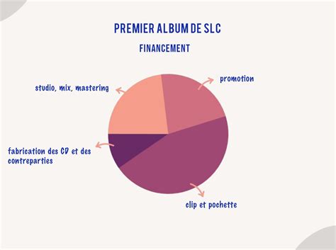 SOPHIE LE CAM PREMIER ALBUM Ulule