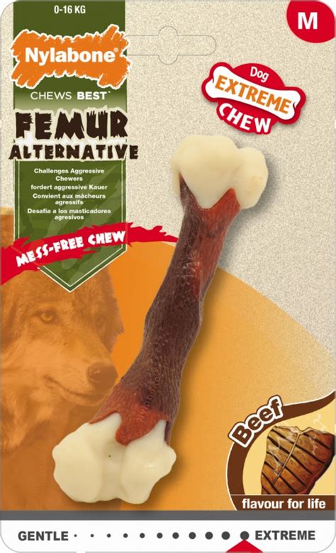 Zoomalia Customer Reviews Nylabone Chew Bone Shaped Like A Femur