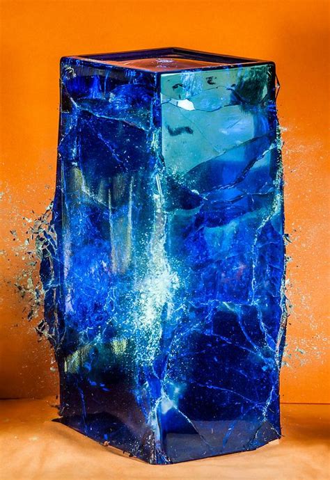 17 Best Images About Blue And Orange On Pinterest Orange Cats Blue And And Orange Flowers