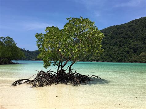 Visita Surin Scopri Il Meglio Di Surin Tailandia Nel 2023 Viaggia