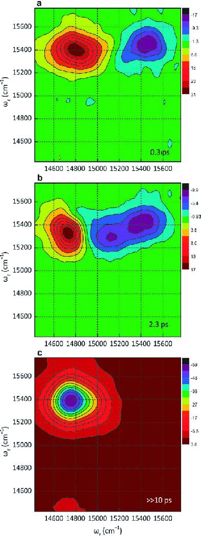 2D Decay Associated Spectra Resulting From A Global Fit Of The 2D