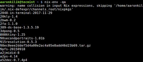 Nix The Purely Functional Package Manager For Linux